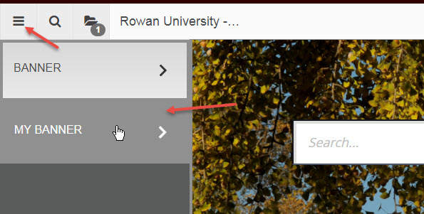 Rowan Support Center